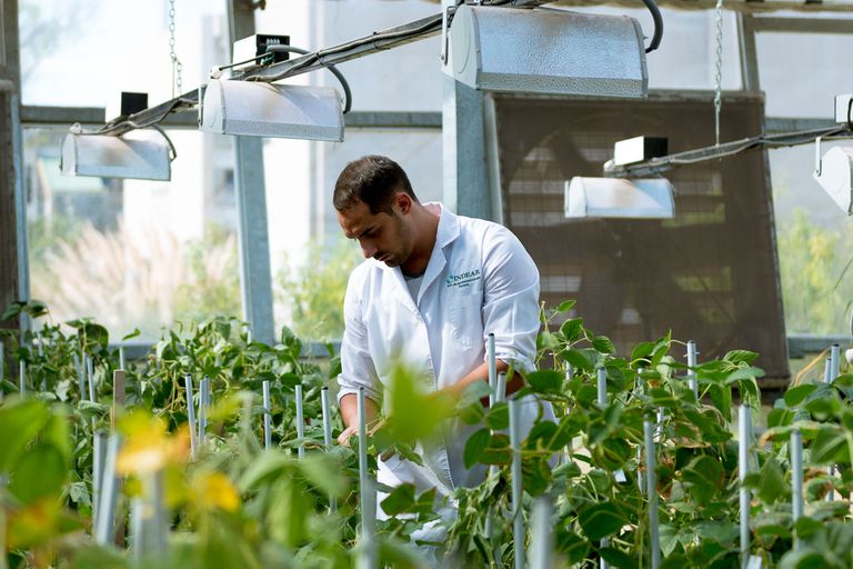 Sequía, Wall Street y alfajores: cómo se construyó Bioceres, la ...